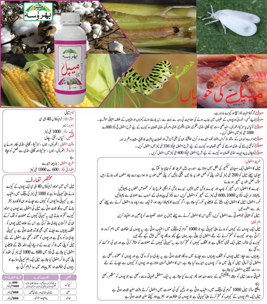 Home - Ali Agro Chemicals & Fertilizers – PVT Ltd.